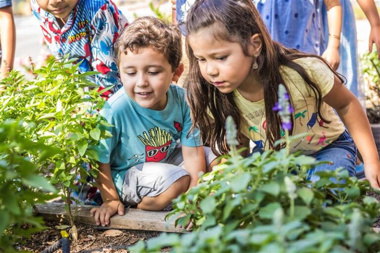 San Antonio | BASIS Charter Schools